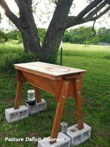 How to Start a Bee Farm - Backyard Beekeeping